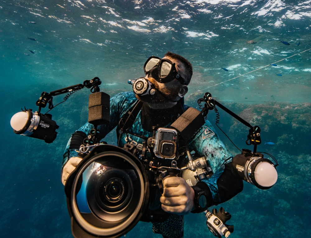 Best Underwater Cameras for Beginners for Underwater Photography